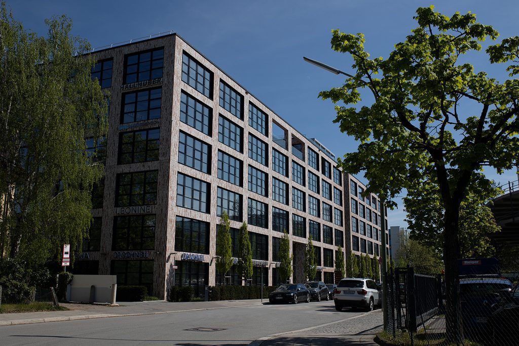 Easy Contact | Paradox Cat